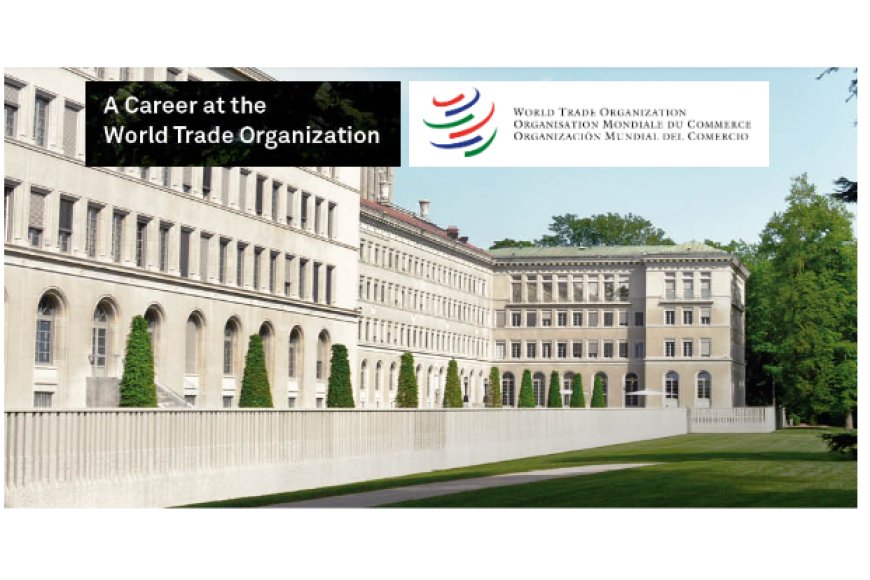 World Trade Organization (WTO) Young Professionals Programme 2025 ...