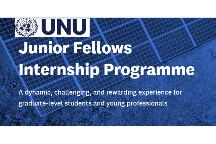 United Nations University Junior Fellows Internship Programme 2024 ...