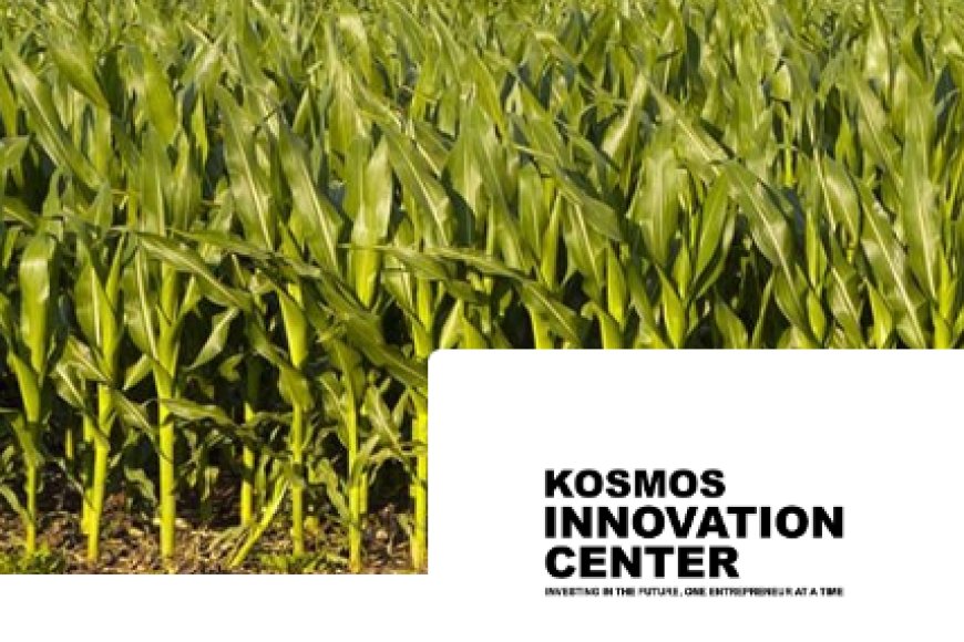 The Kosmos Innovation Center (KIC) Young Farmer Business Academy (YFBA ... The Kosmos Innovation Center (KIC) Young Farmer Business Academy (YFBA ...